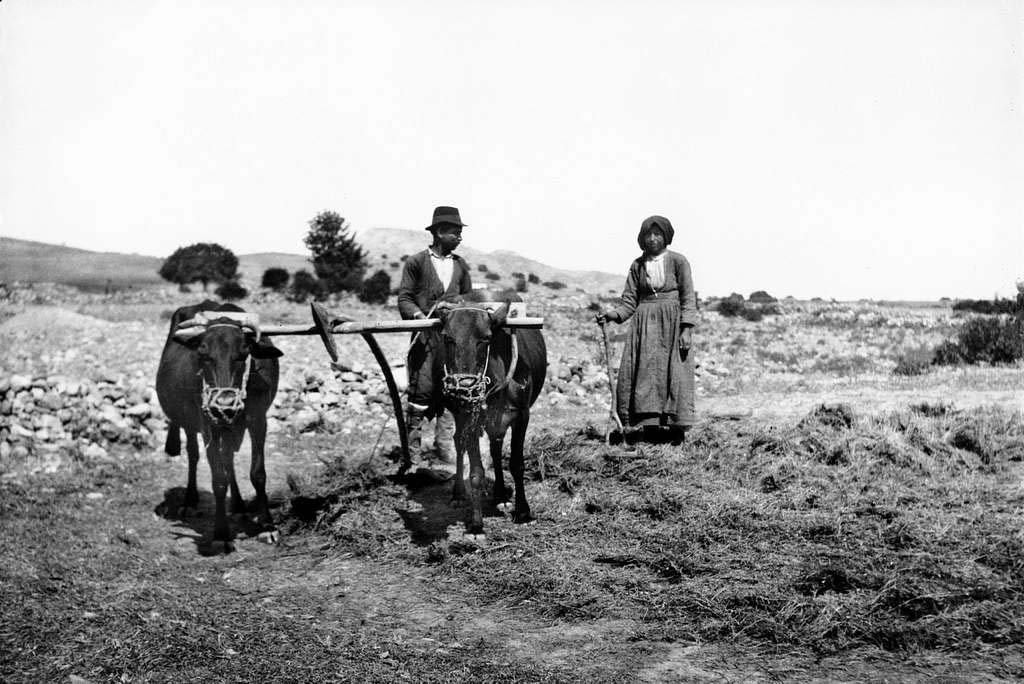 New theme park is a reflection of Cyprus’ past | Cyprus Mail