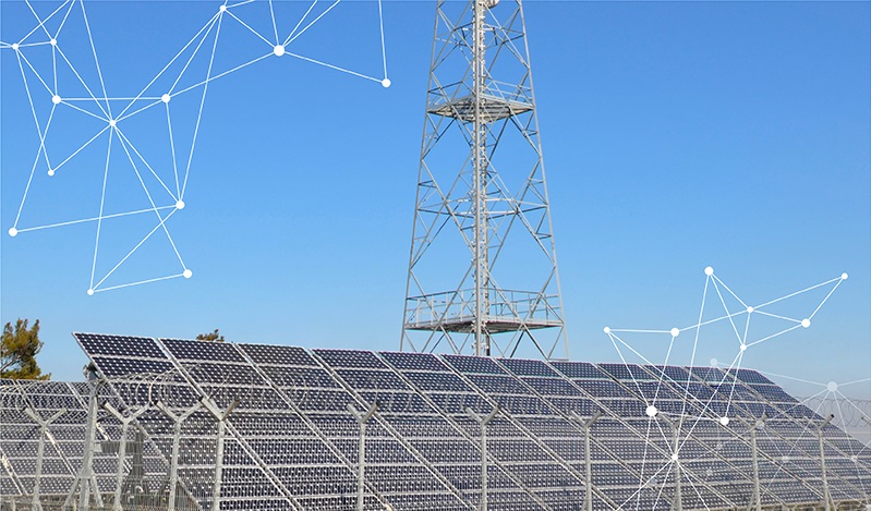 Telecommunications company invests in sustainable development | Cyprus Mail