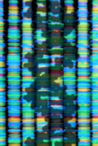 Mapping the unique Cypriot genome | Cyprus Mail
