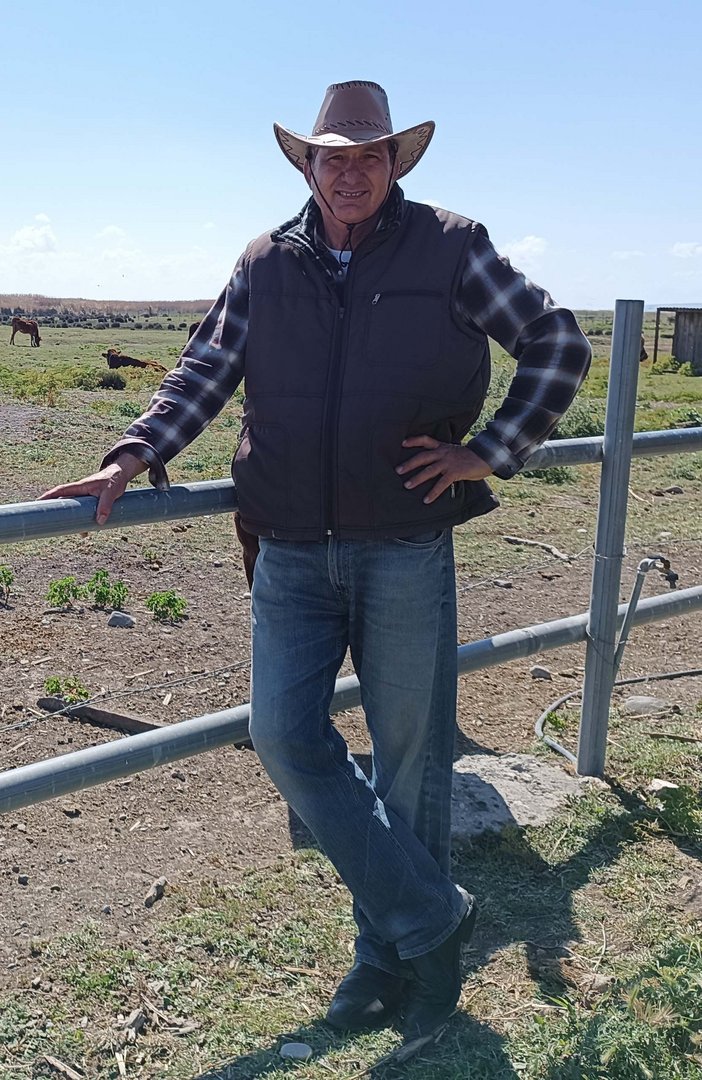 Cyprus cattle: workhorse turns to landscape gardening | Cyprus Mail