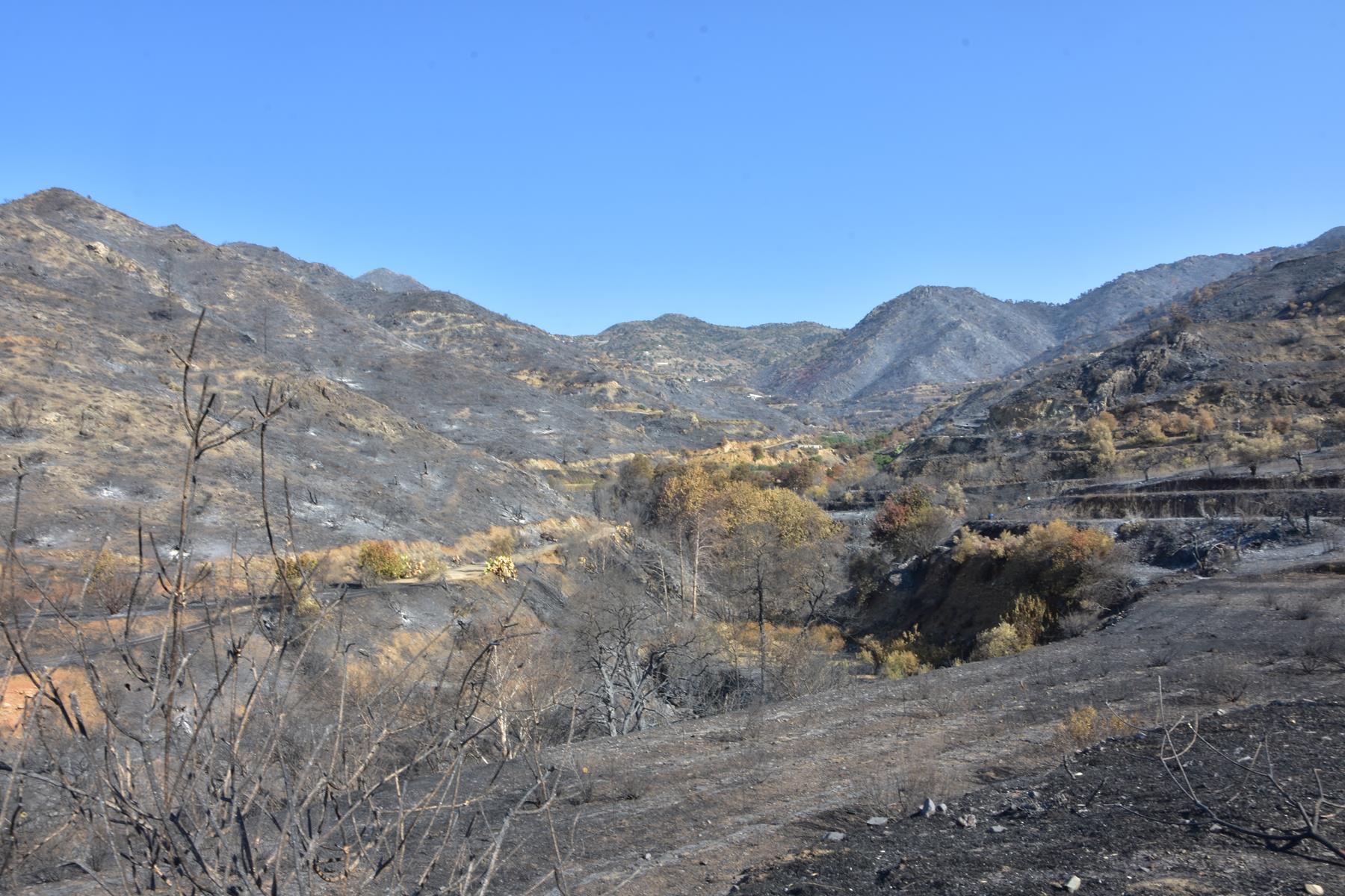 Fire in Tseri | Cyprus Mail