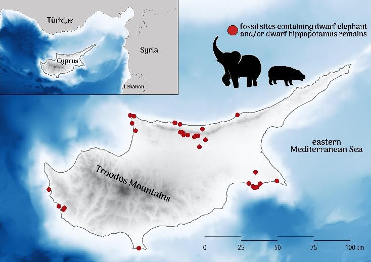 Could early humans have caused extinction of Cyprus’ dwarf hippos ...