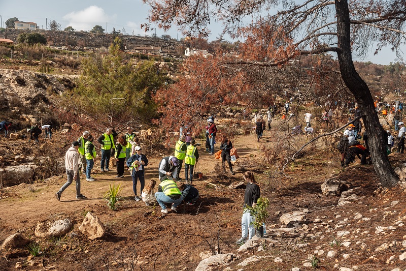Kokomix supports forest restoration in Souni village | Cyprus Mail